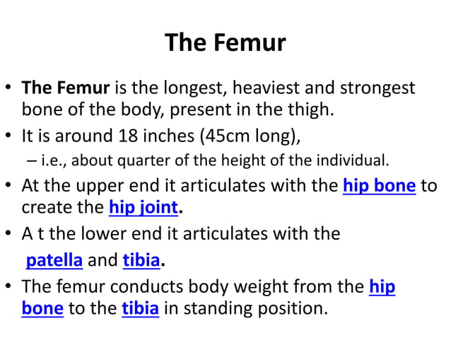 The anatomy of Femur features and attachments.pptx