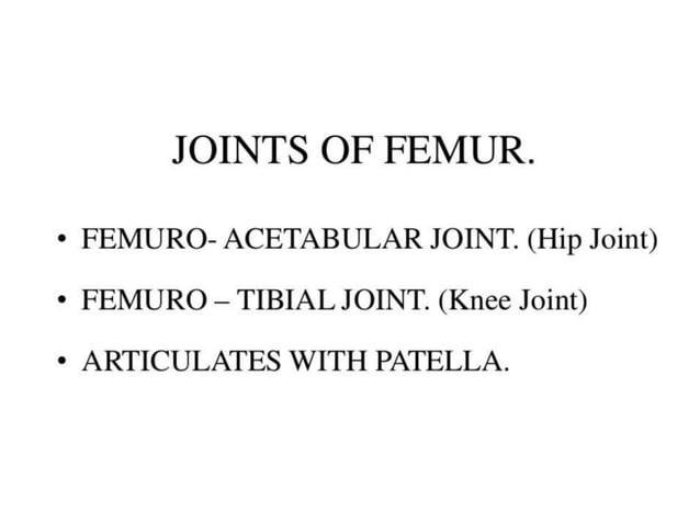 The anatomy of Femur features and attachments.pptx