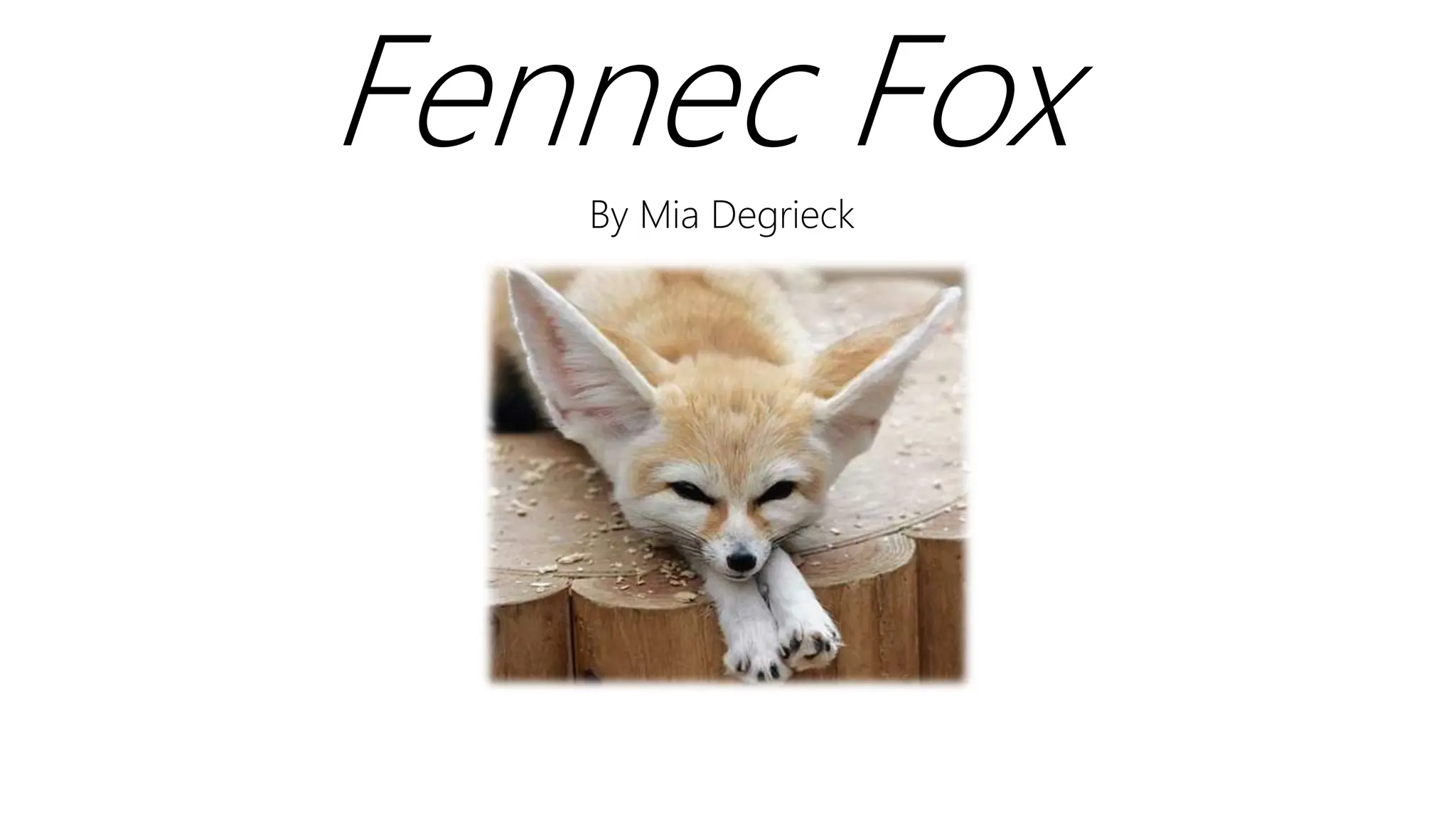 the_fennec_fox presentation by Krishna.pptx