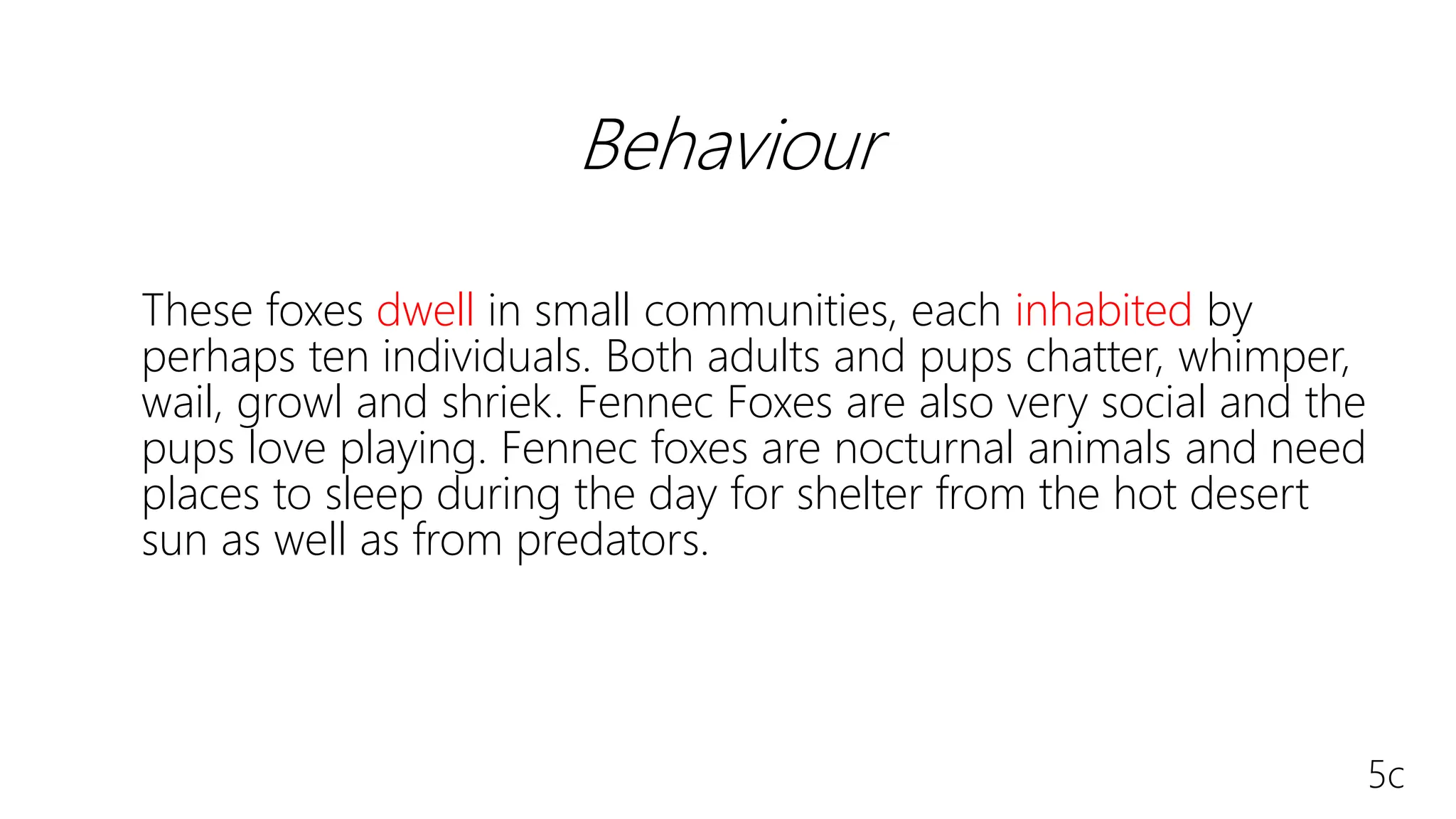 the_fennec_fox presentation by Krishna.pptx