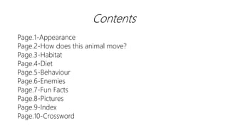 the_fennec_fox presentation by Krishna.pptx