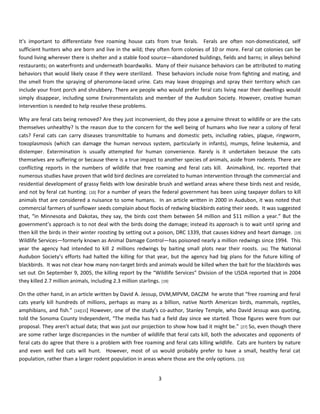 The Feral Cat Population Explosion - December 2010 | DOC