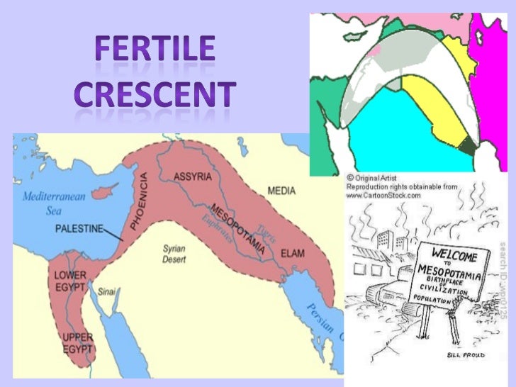 The fertile crescent
