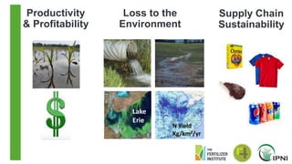 The fertilizer industry perspective | PPT