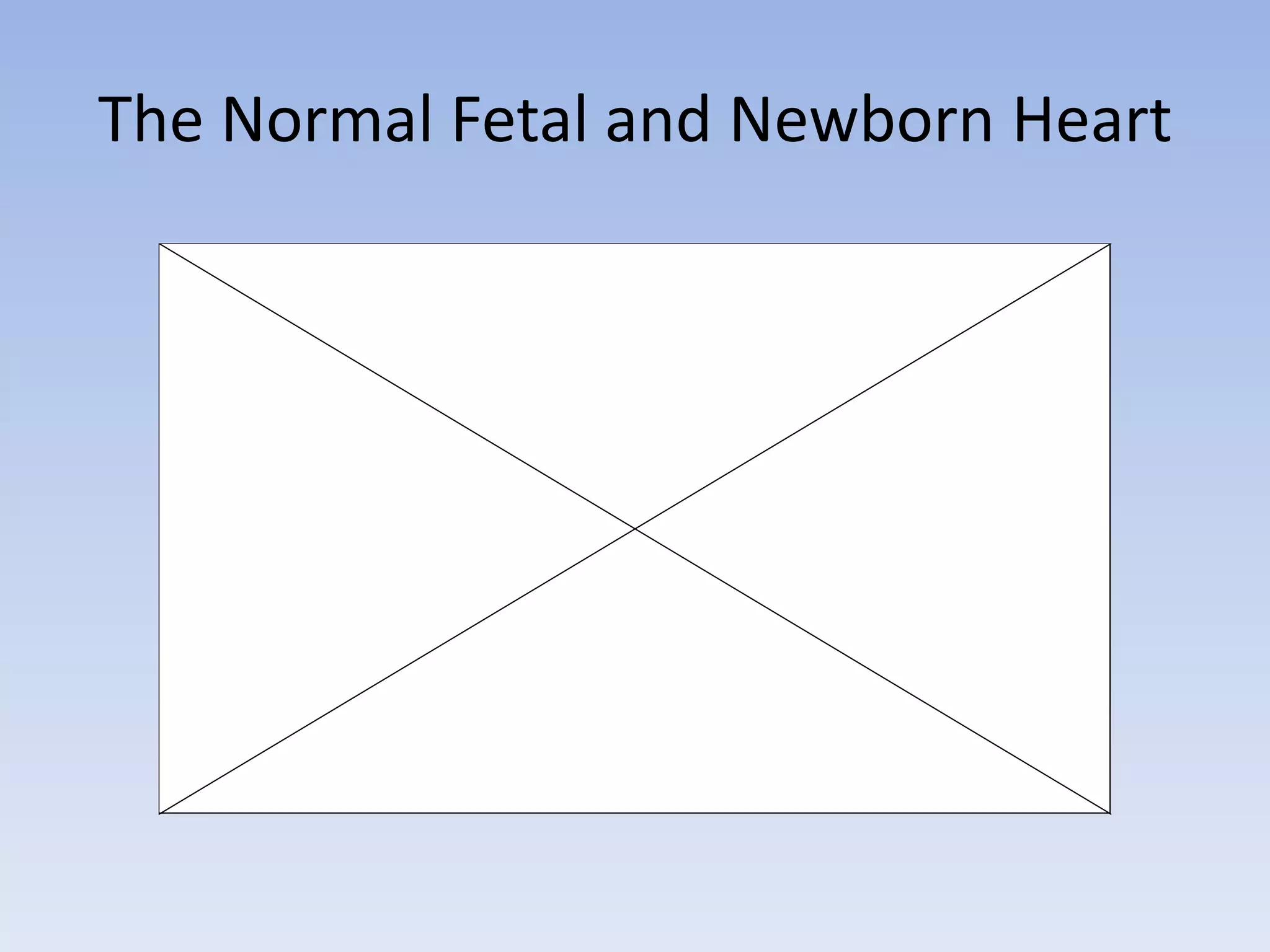 The fetal and newborn heart pdf | PDF