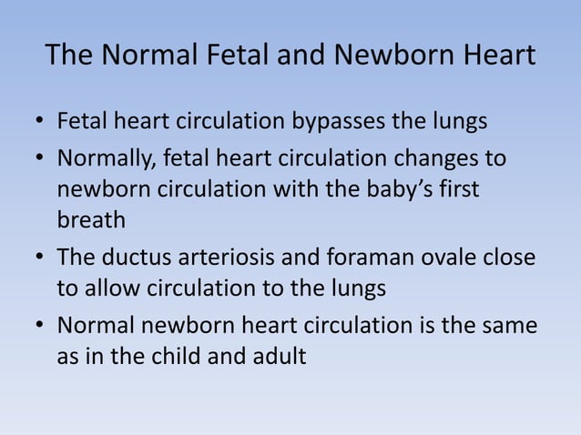 The fetal and newborn heart pdf | PDF