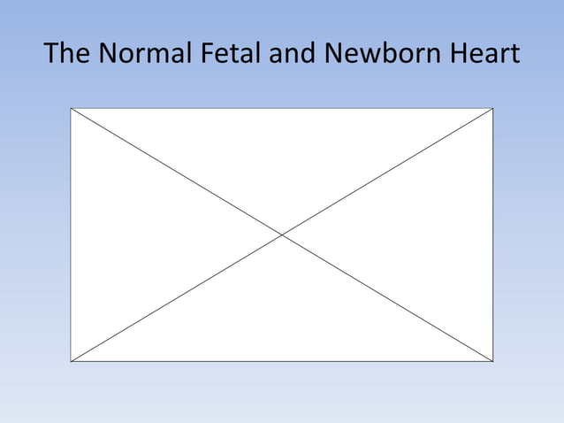 The fetal and newborn heart pdf | PDF