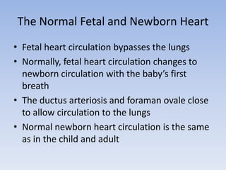 The fetal and newborn heart ppp | PPT