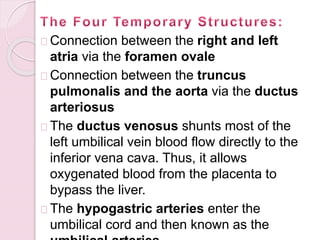The fetal circulation | PPTX