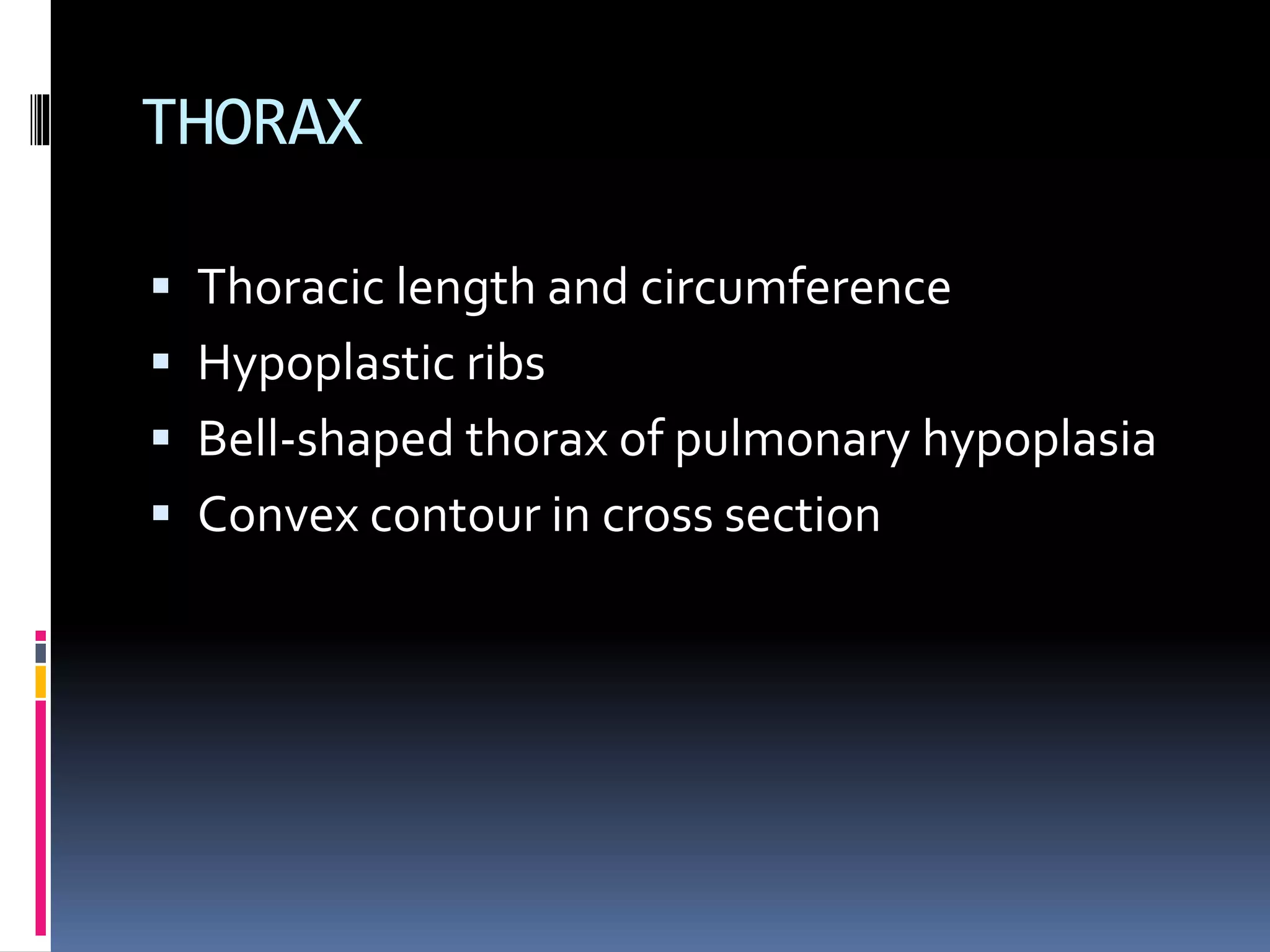 The fetal musculoskeletal system | PPTX