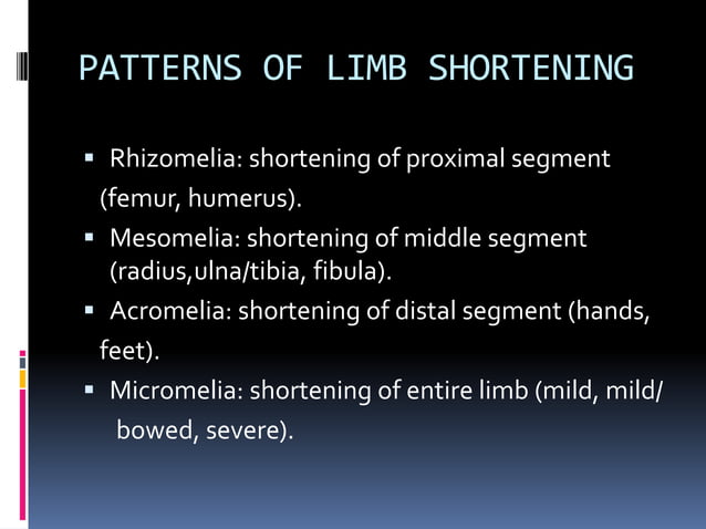 The fetal musculoskeletal system | PPTX | Pregnancy | Reproductive Health
