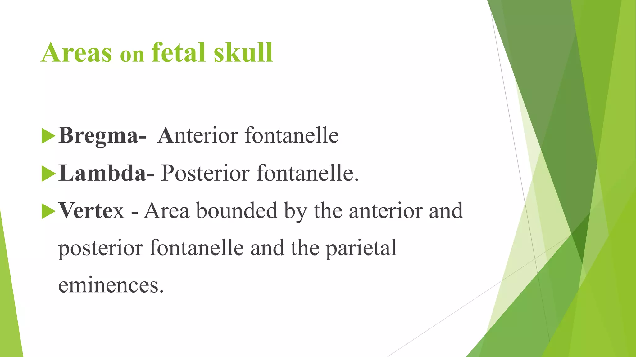 THE FETAL SKULL.pptx