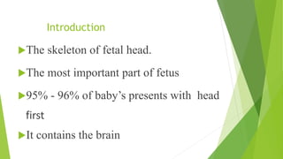 THE FETAL SKULL.pptx