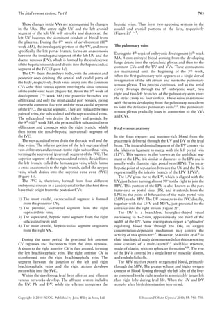 The fetal venous system part i | PDF