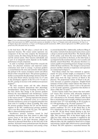 The fetal venous system part i | PDF