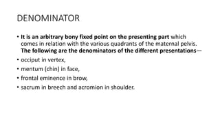 The fetus in-utero ppt | PPTX