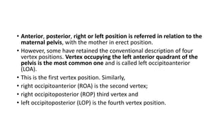 The fetus in-utero ppt | PPTX