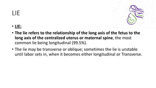 The fetus in-utero ppt | PPTX