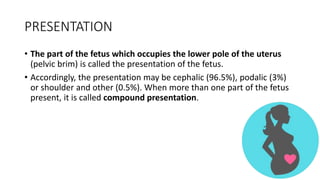 The fetus in-utero ppt | PPTX