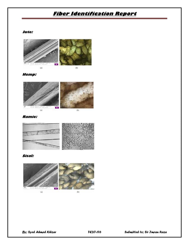 The fiber identification report | PDF