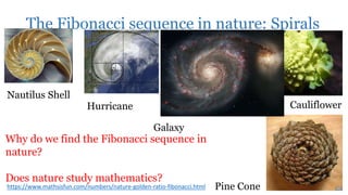 The fibonacci sequence