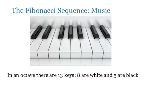 The fibonacci sequence The fibonacci sequence