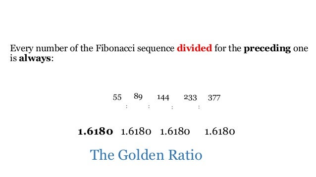 The fibonacci sequence