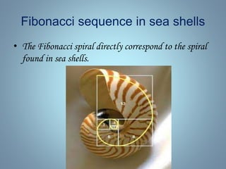 The fibonacci sequence | PPTX