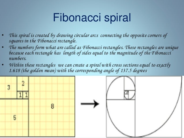 The Fibonacci Sequence The Fibonacci Sequence