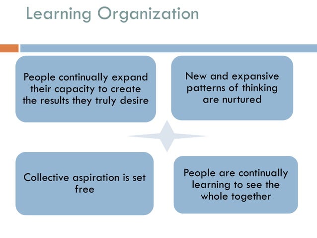 The fifth discipline - An overview of Peter Senge's Fifth Discpline | PDF