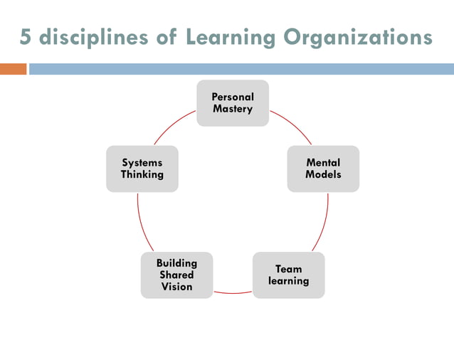 The fifth discipline - An overview of Peter Senge's Fifth Discpline | PDF