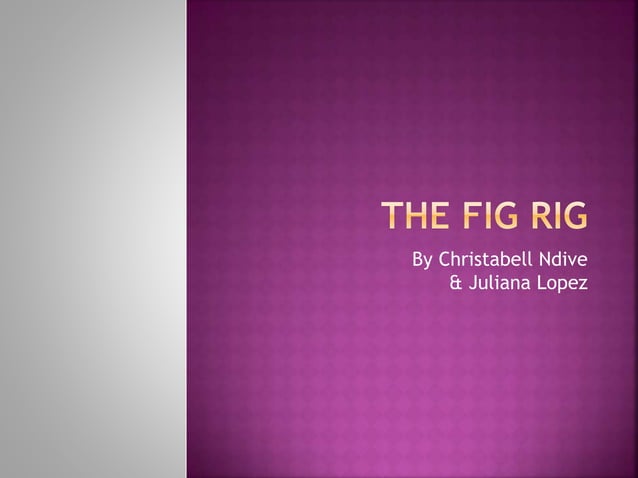 The Fig Rig | PPTX | Video Production | Content Production