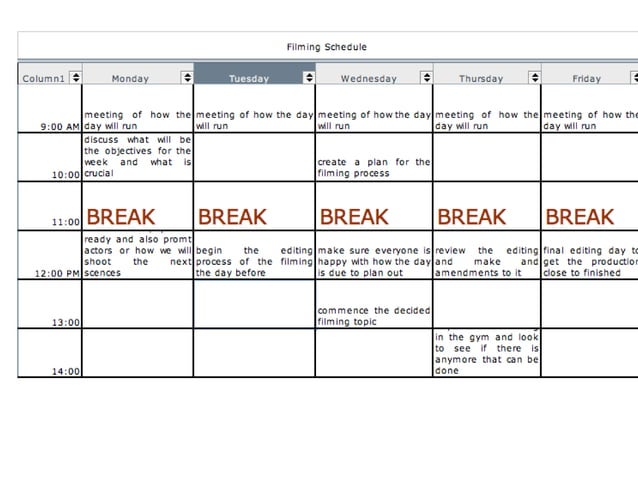 The filming schedule | PPT