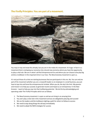 The Firefly Principles- A Manifesto for Generating Income and Impact in ...