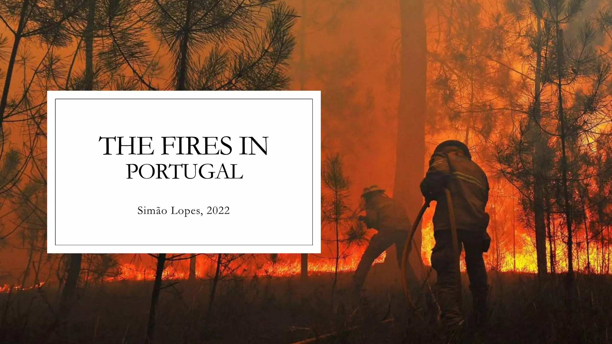 The fires in Portugal.pptx