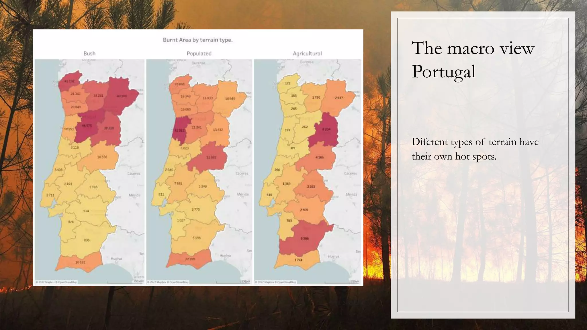 The fires in Portugal.pptx