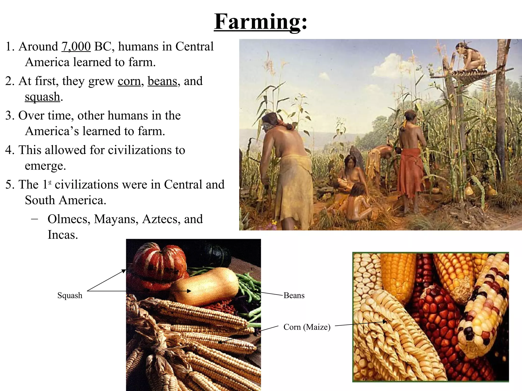 The First Americans PPT | PPT