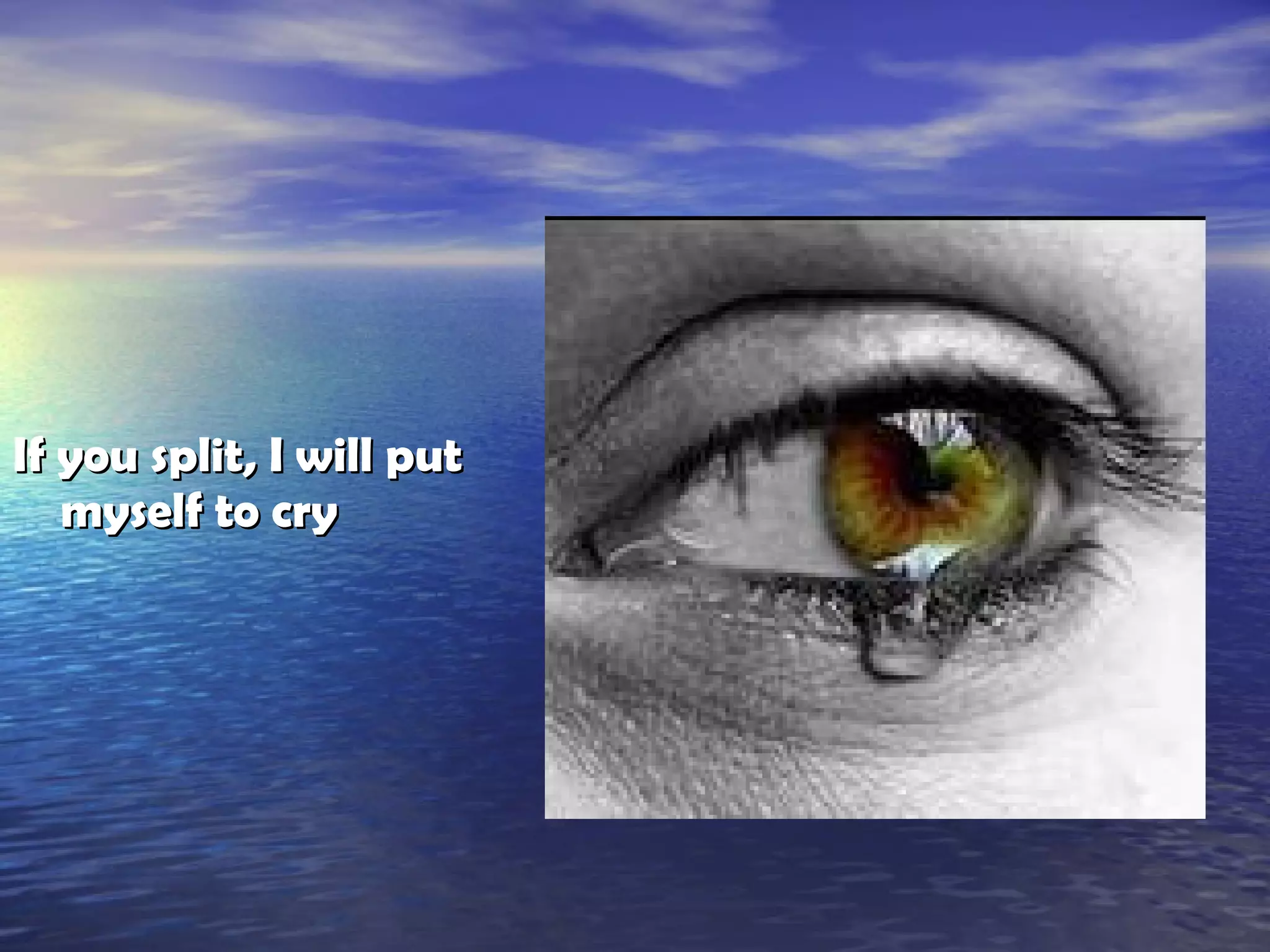 The First Conditional | PPT