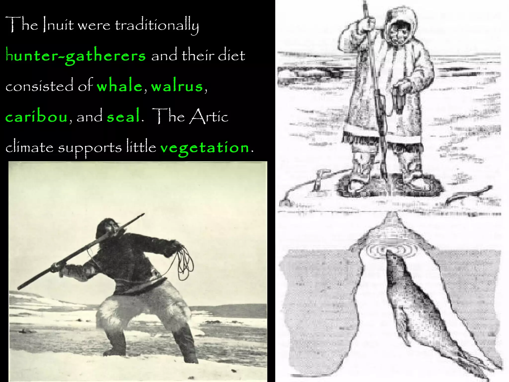 The first nations | PPT
