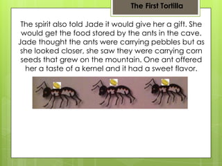 The first tortilla1 | PPT