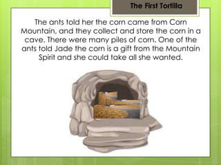 The first tortilla1 | PPT