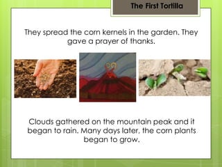 The first tortilla1 | PPT