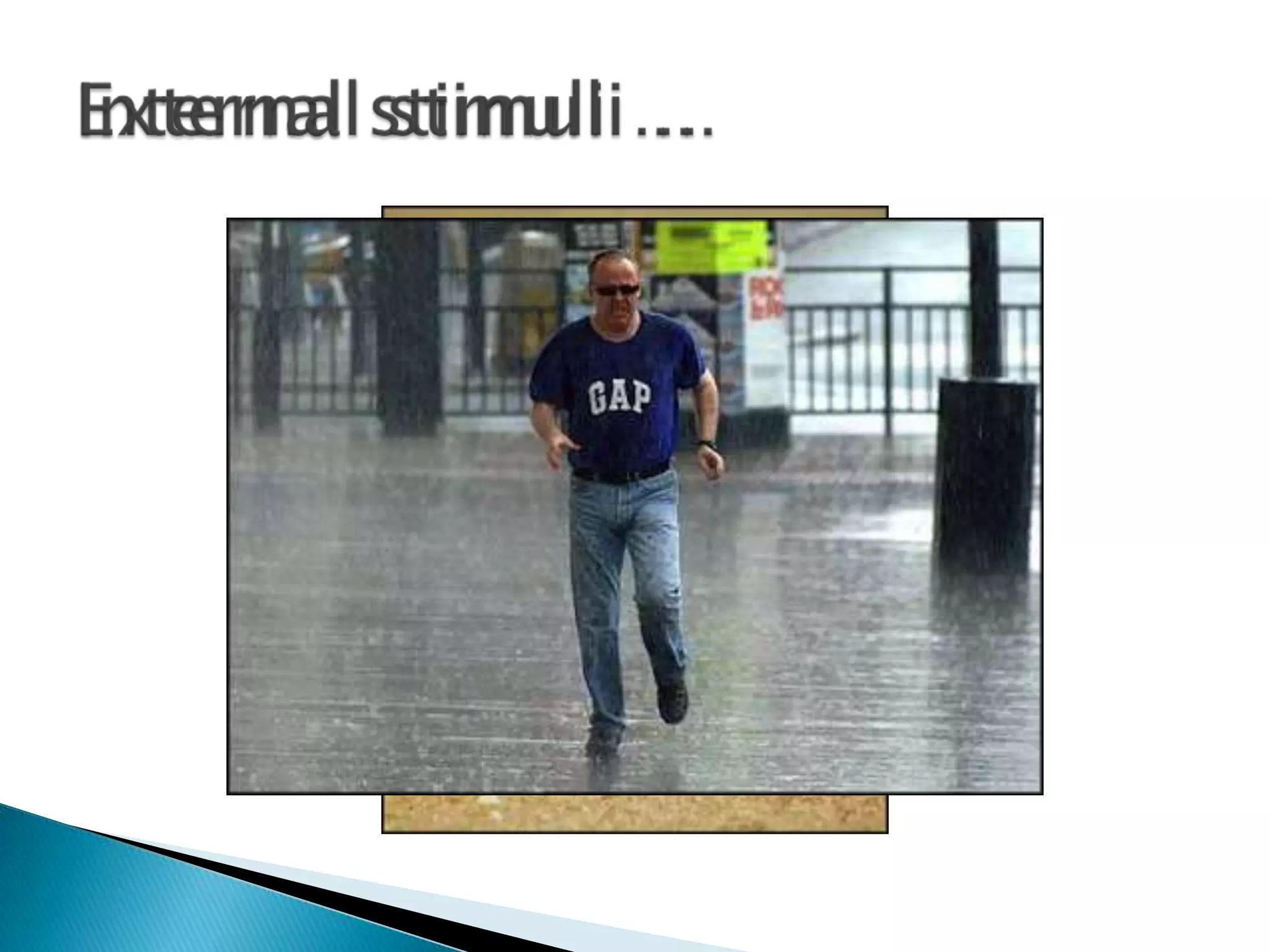 The five-stage model | PPTX