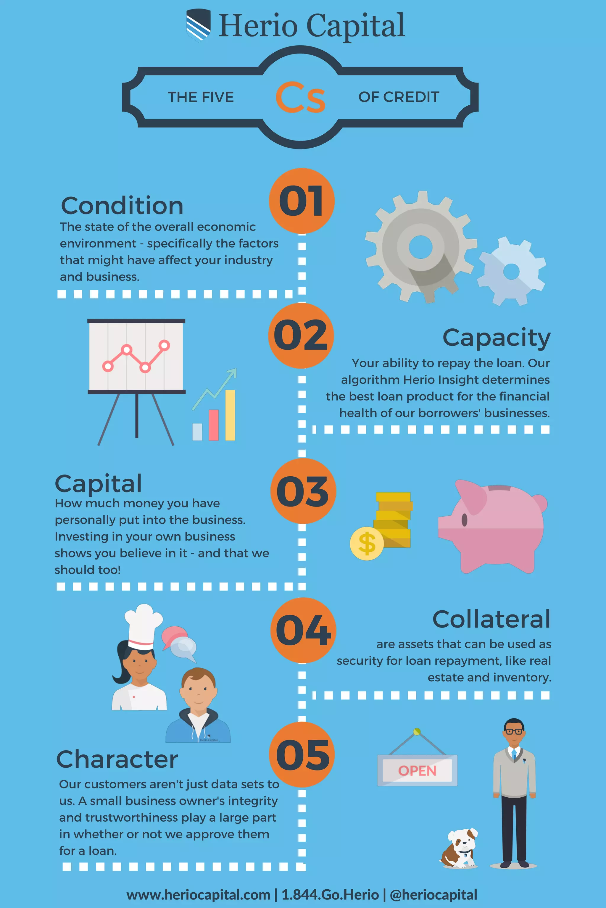 The 5 Cs of Credit | PDF