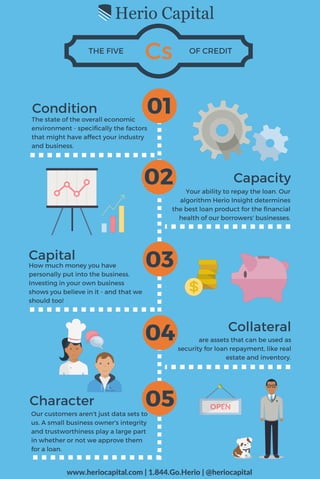The 5 Cs of Credit | PDF
