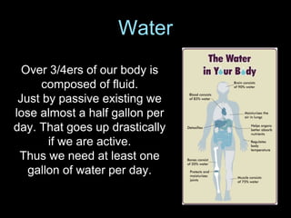 What Are The Five Key Elements Of Survival & Life | PPT