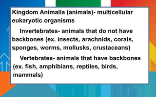 Hierarchy of Living Things | PPT