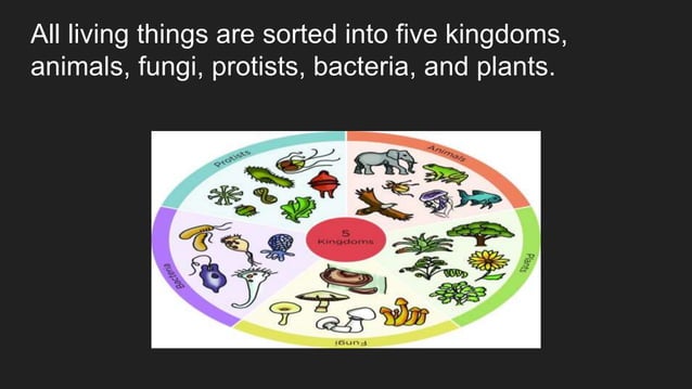 The Five Kingdoms | PPTX | Gardening | Home & Garden