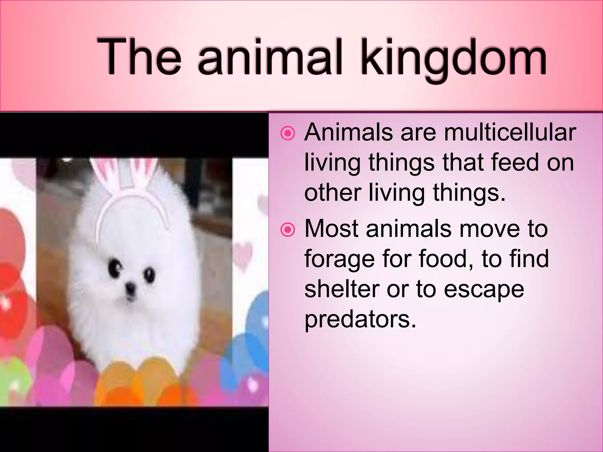 The five kingdoms science alex y andrea | PPT