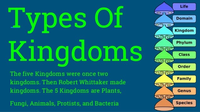 The Five Kingdoms